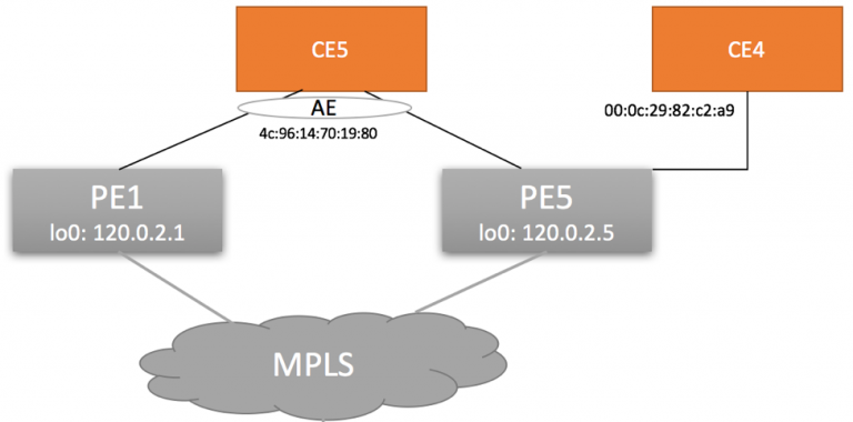 EVPN MPLS Type 2 Route Explained - RFC 7432 | BGP Help